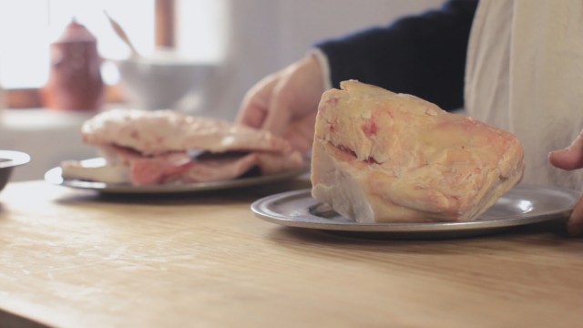 Suet, Part two: What it is, What it isn’t, and What to Look For ...