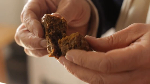 1824 English Gingerbread | Savoring the Past