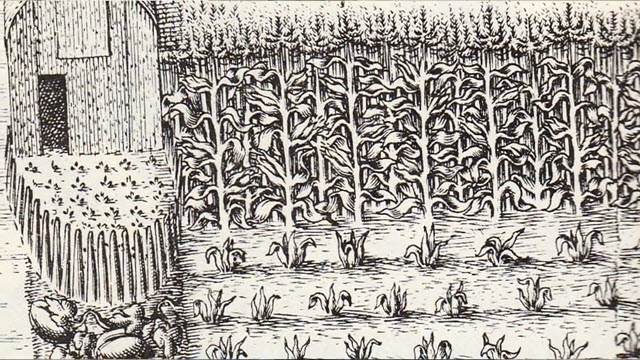 18th Century Cornbread | Savoring the Past