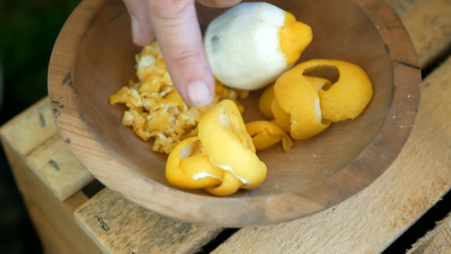 Lemon Minced Pie | Savoring the Past